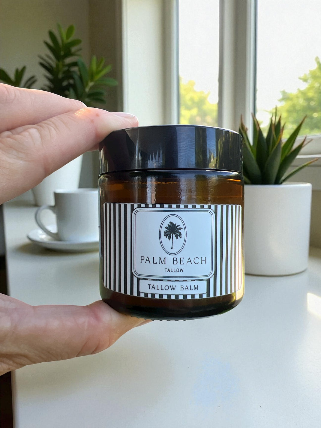 Palm Beach Tallow
